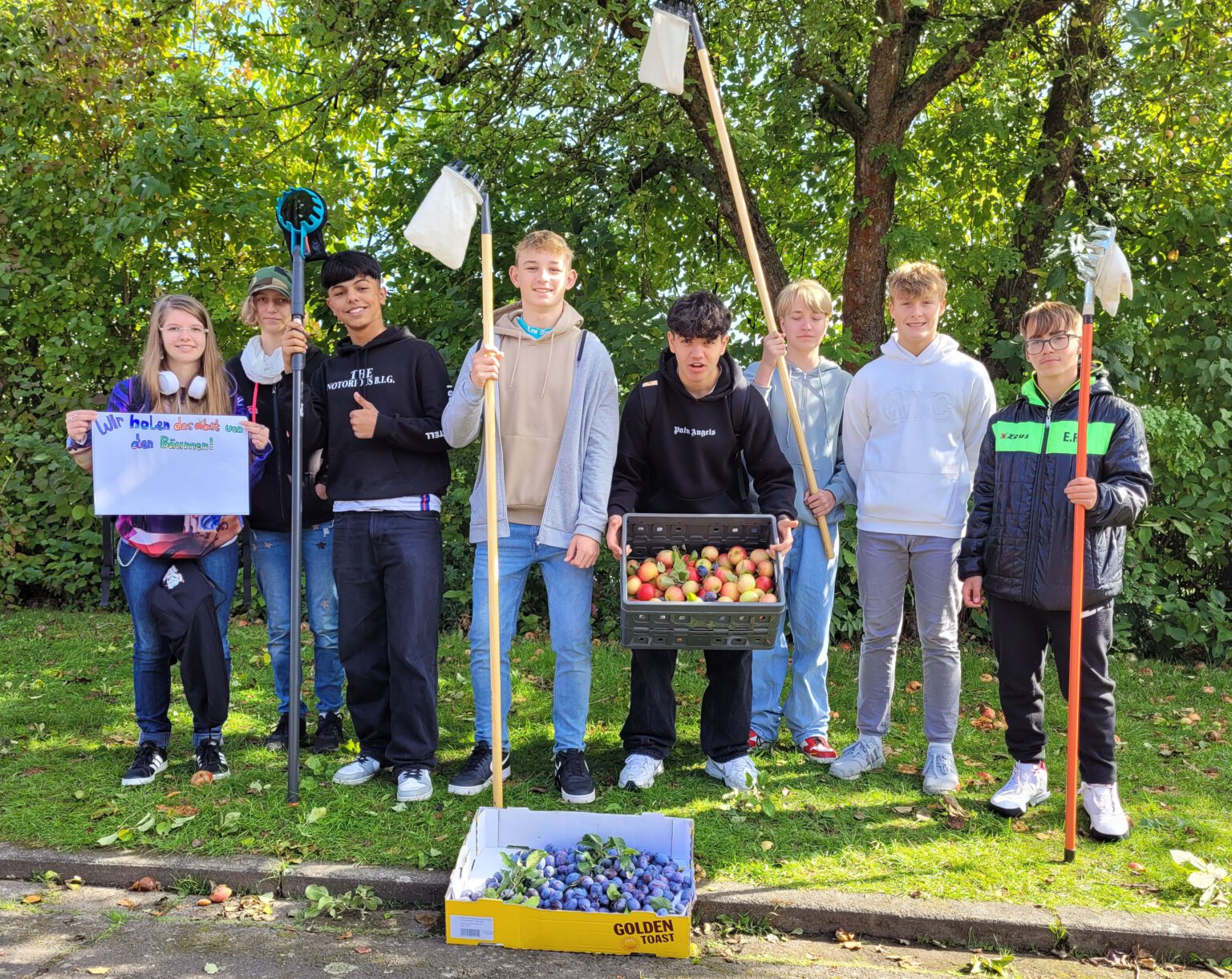 Wir holen das Obst von den Bäumen - Erich Kästner Schule